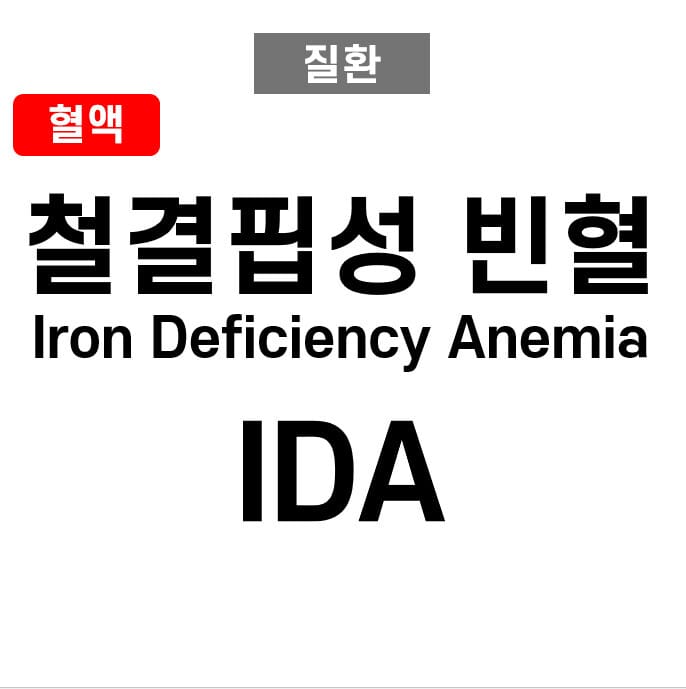 철결핍성 빈혈 (IDA, Iron Deficiency Anemia) - 의학당