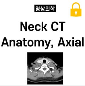Neck CT Anatomy, Axial - 의학당